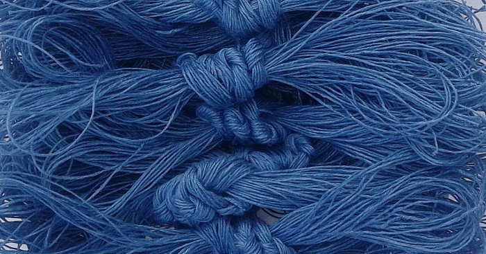 Woad Blue Tekhelet Dyeing