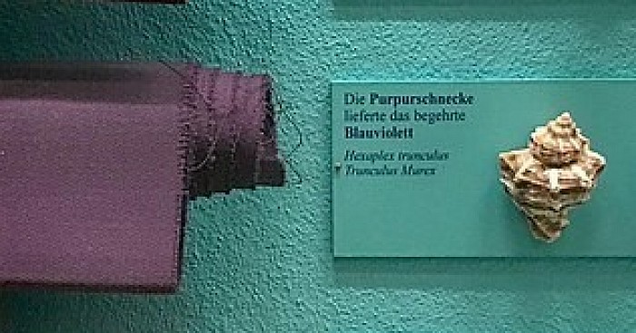 Why the Murex Snail Dye wasn't Blue in Ancient Times